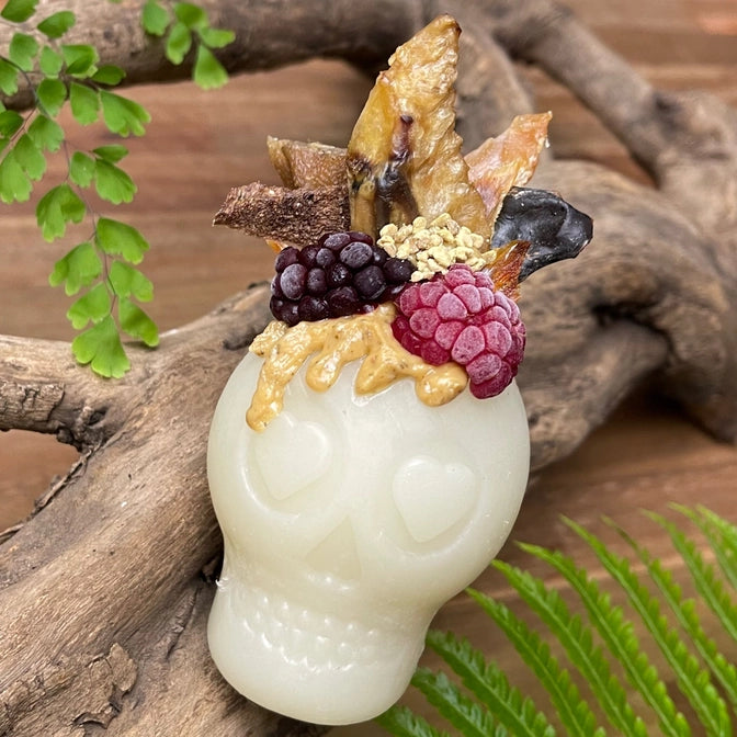 Glow in the Dark Skull - Chew and Enrichment Toy – Game on Dogs