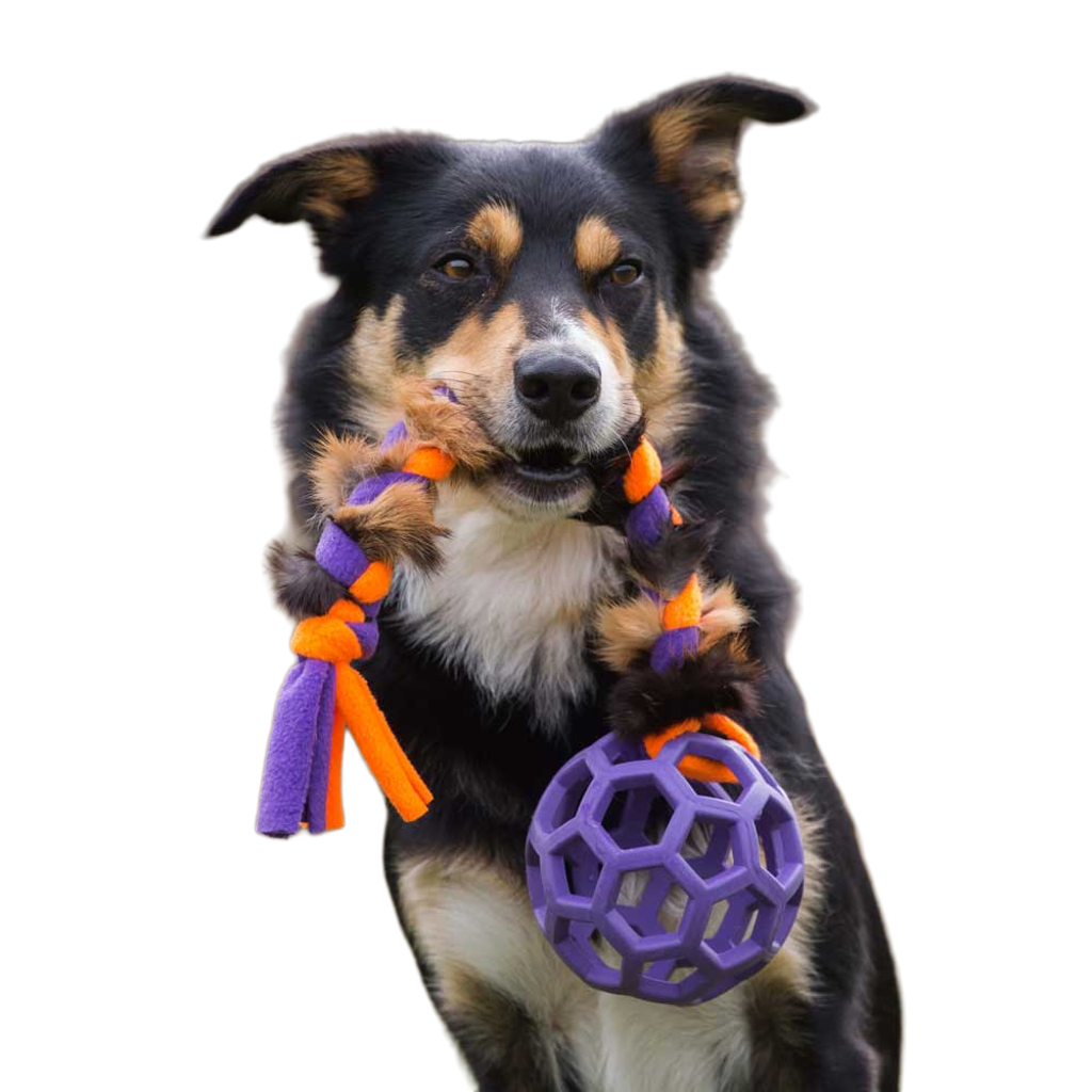 Holee Roller with Braided Fleece and Rabbit – Game on Dogs