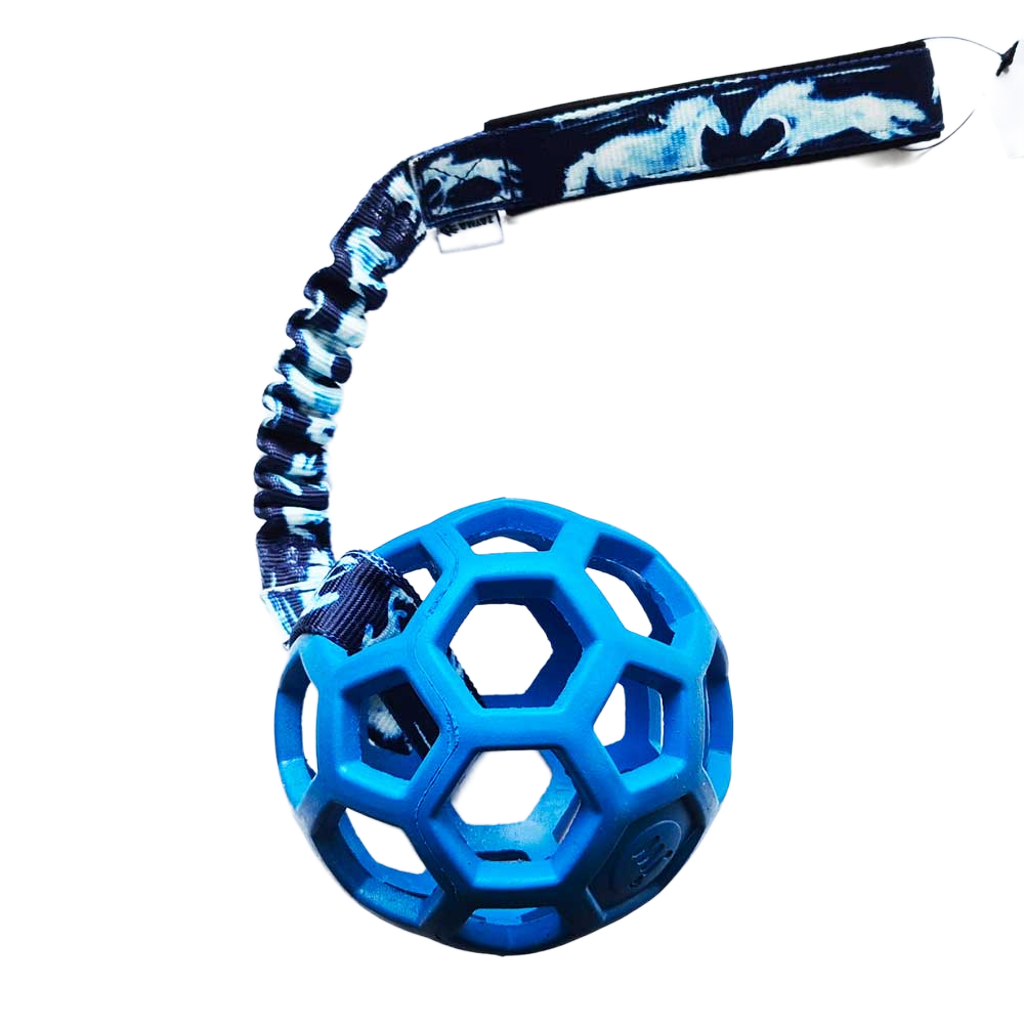 Holee Roller with bungee handle – Game on Dogs