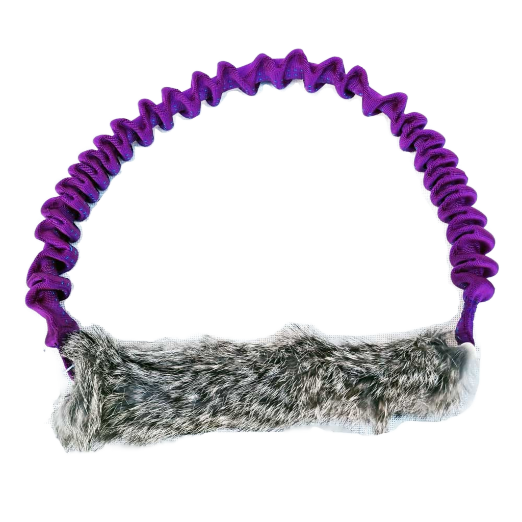 Bungee Rabbit Ring Tug – Game on Dogs