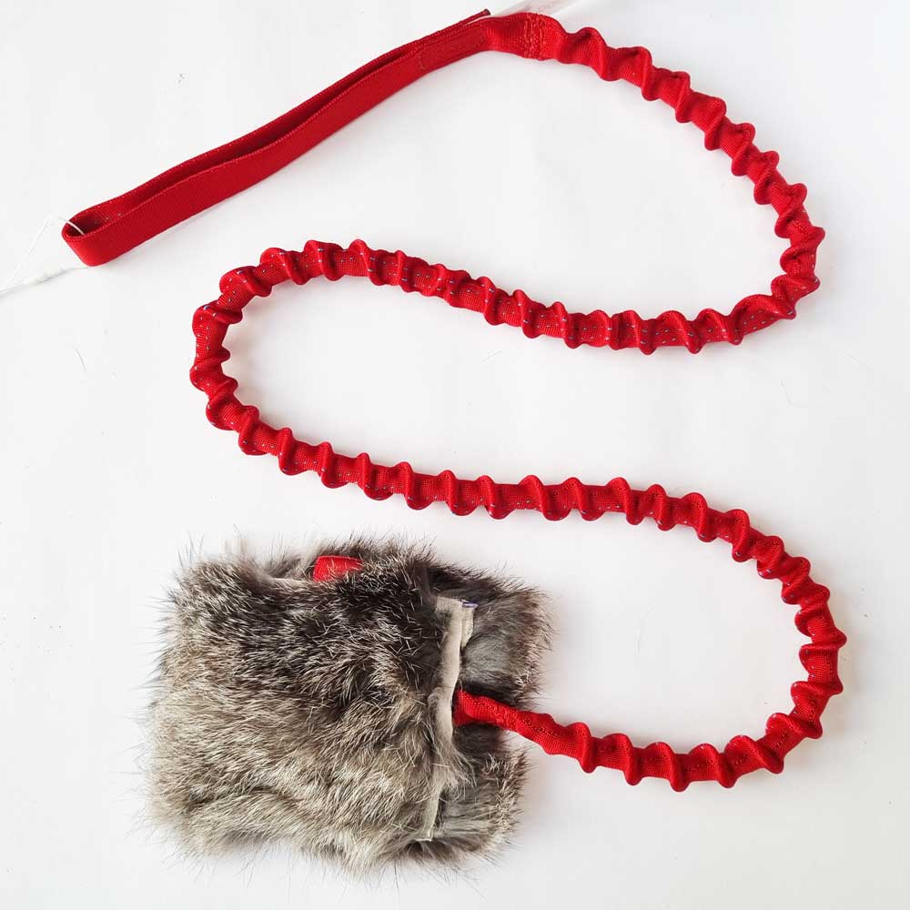Long Bungee Rabbit Treat Pouch Chaser – Game on Dogs