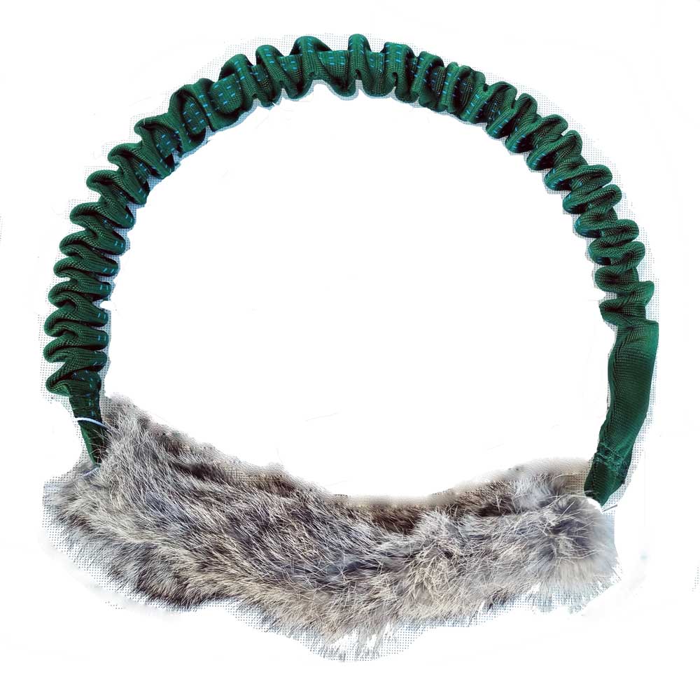 Bungee Bunny Ring Tug – Game on Dogs